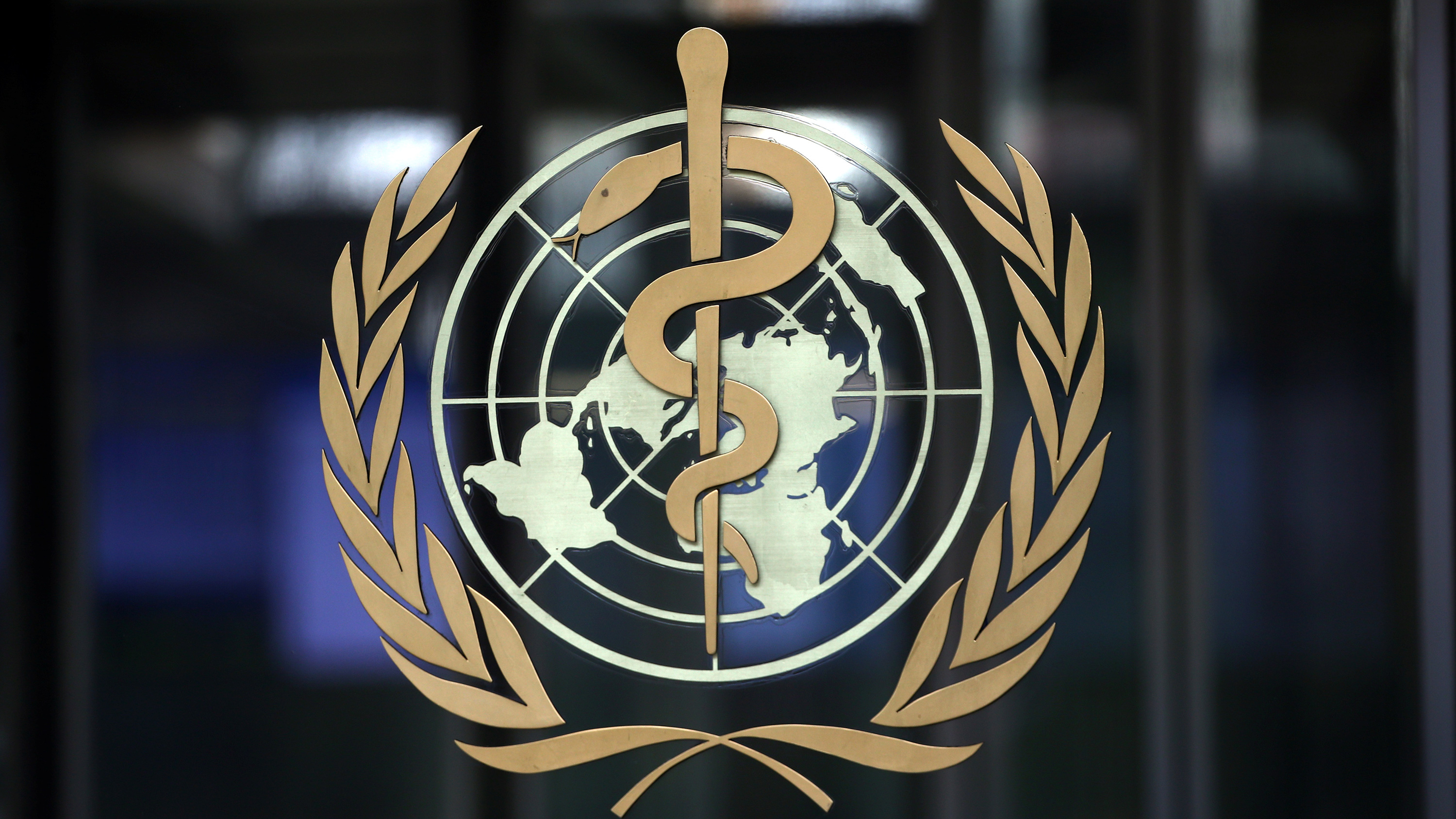 The World Health Organization and Pandemic Politics | Think Global Health
