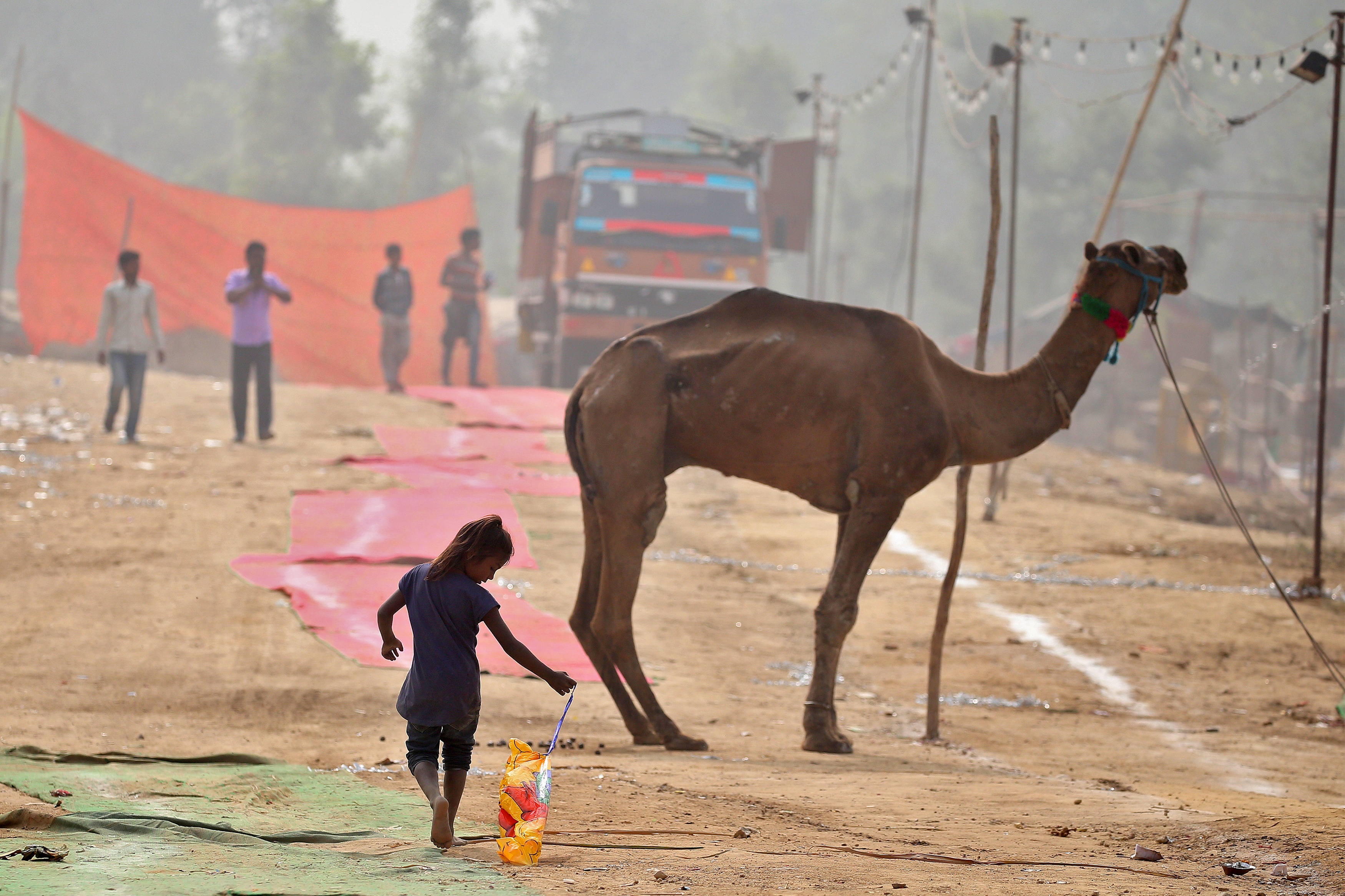 The Missing Girls of India: A National Shame | Think Global Health