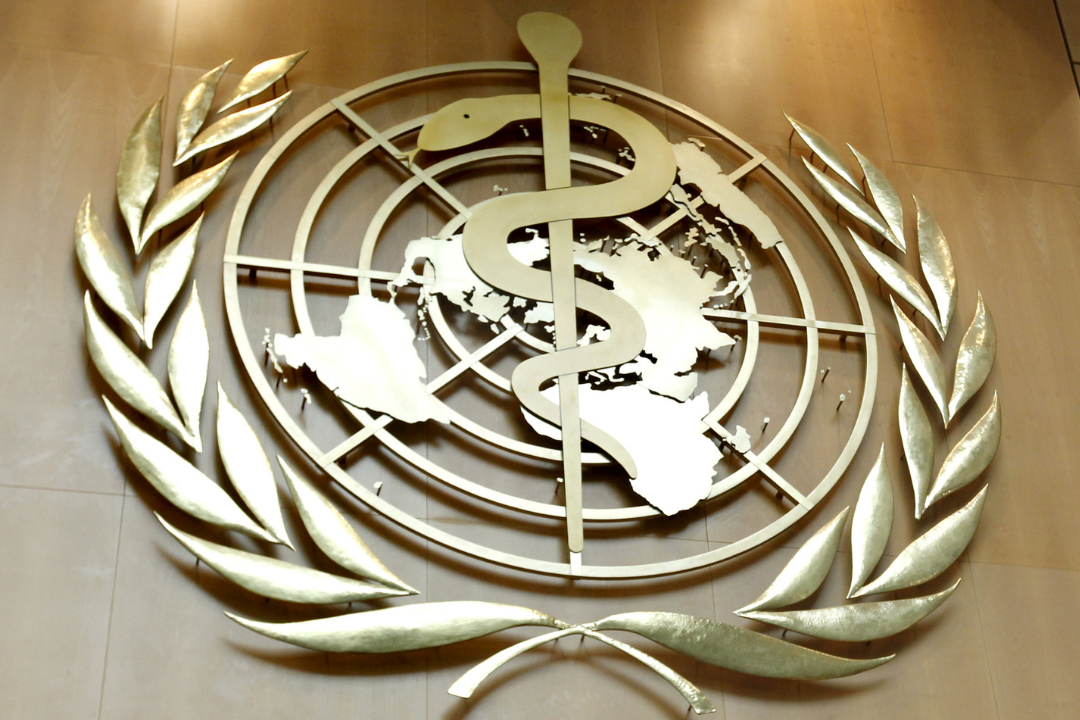 The World Health Assembly Takes Steps Toward Global Health Reforms ...
