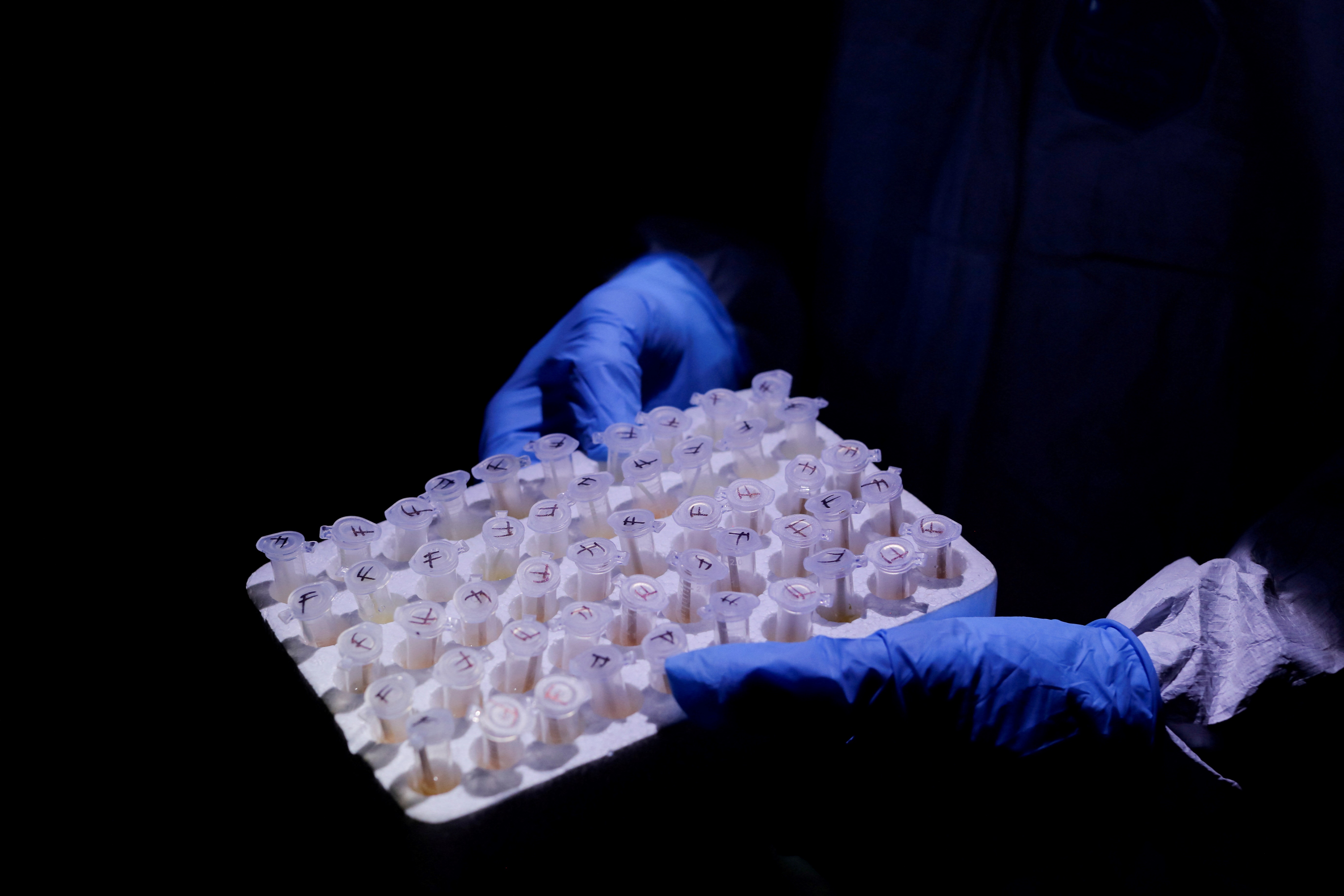 Gain-of-Function Risk Is Not One-Size-Fits-All | Think Global Health