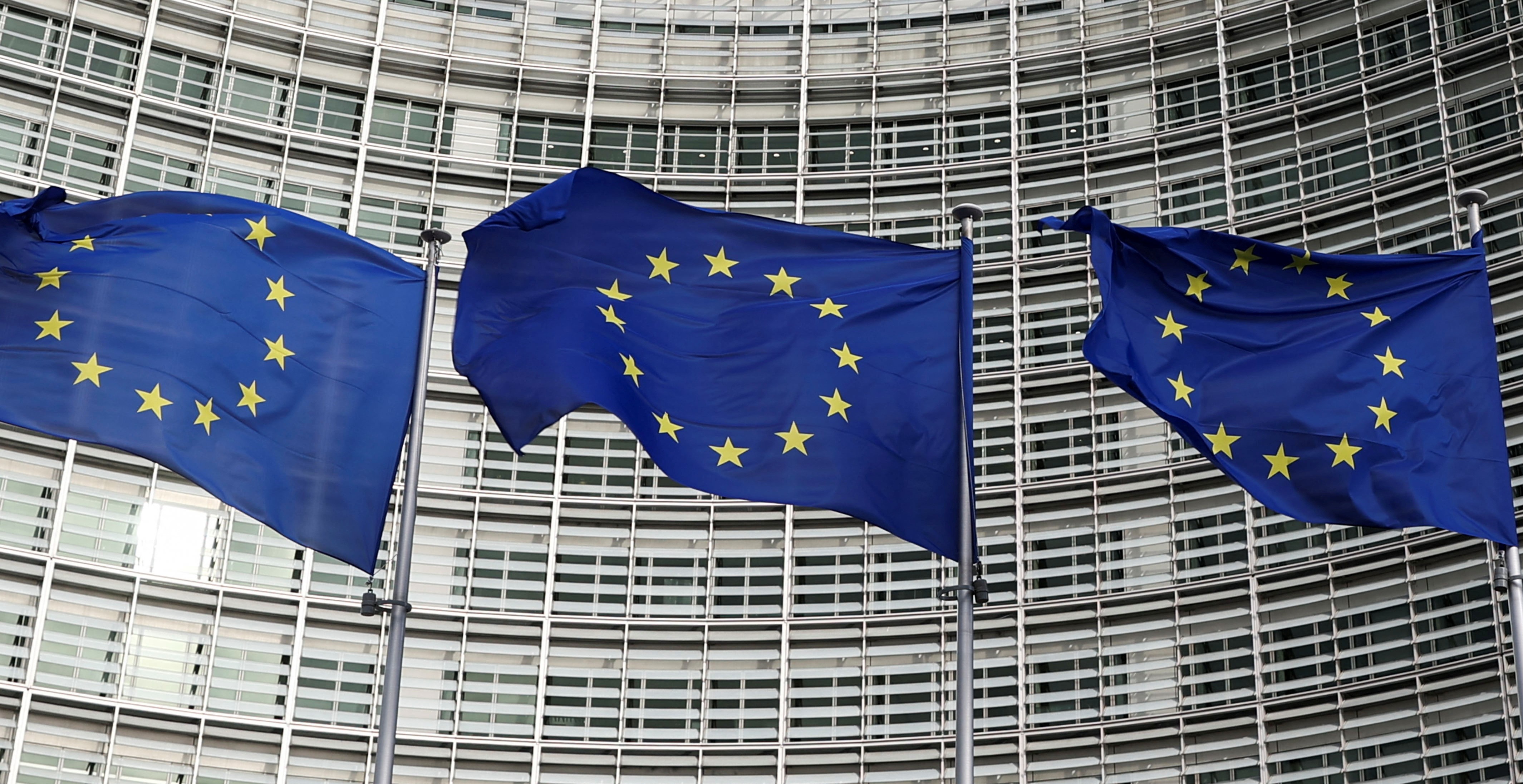 The EU Global Health Strategy, One Year On | Think Global Health