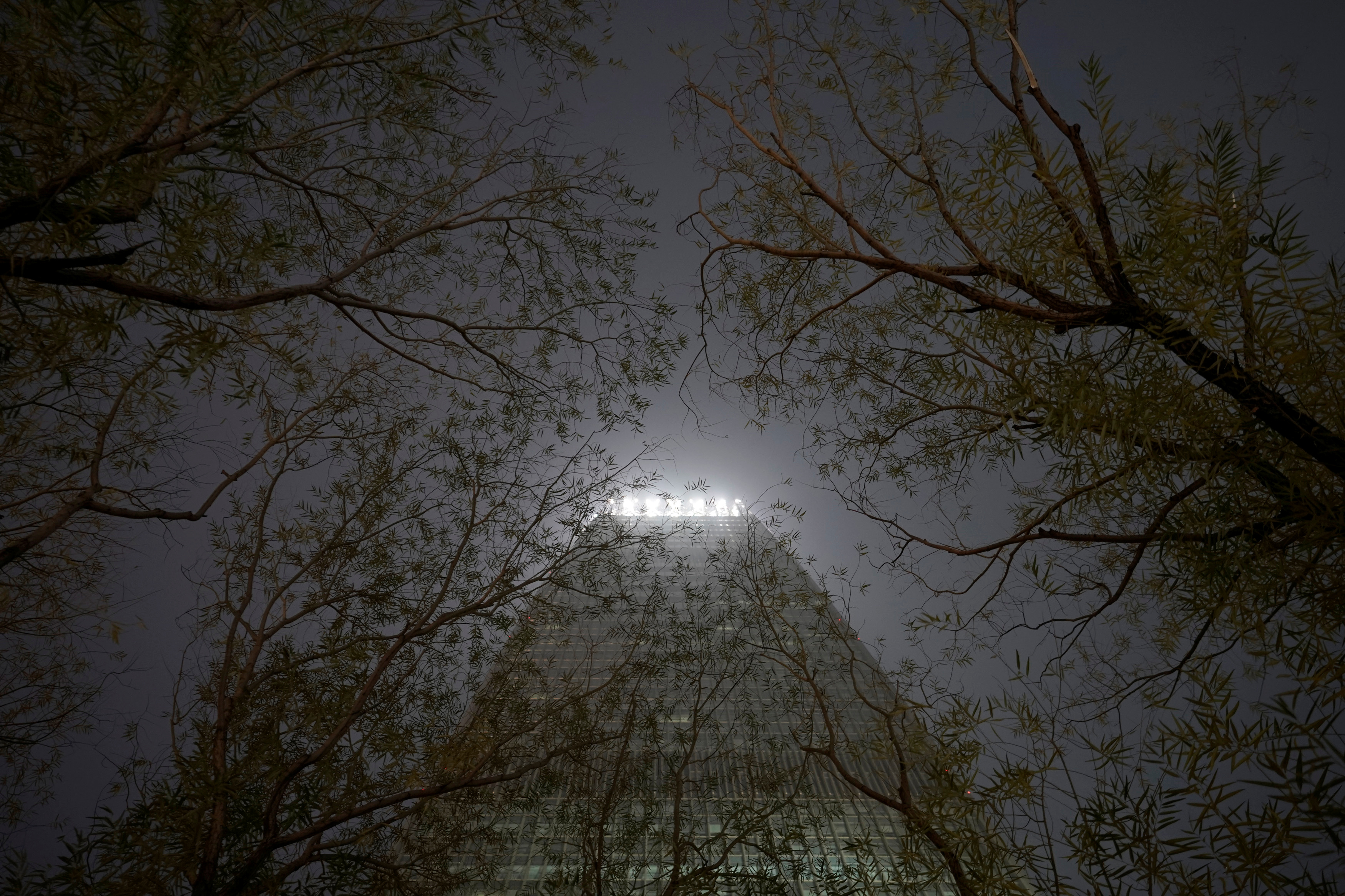 Light Pollution Reshapes Growing Seasons | Think Global Health